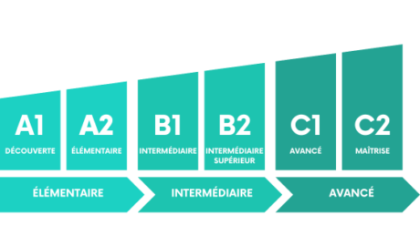 Niveaux de langue - Alliance Française Brno